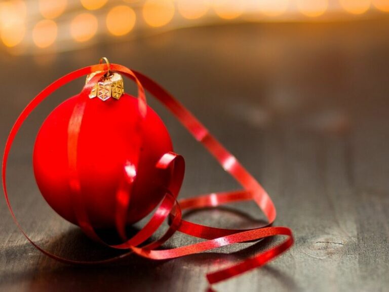 softCodex - Ticino, Informatica, Hosting, TotalGest, TotalPOS, vtenext